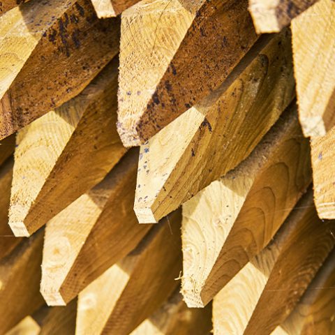 Hardwood Timber | Softwood Timber | Earnshaws