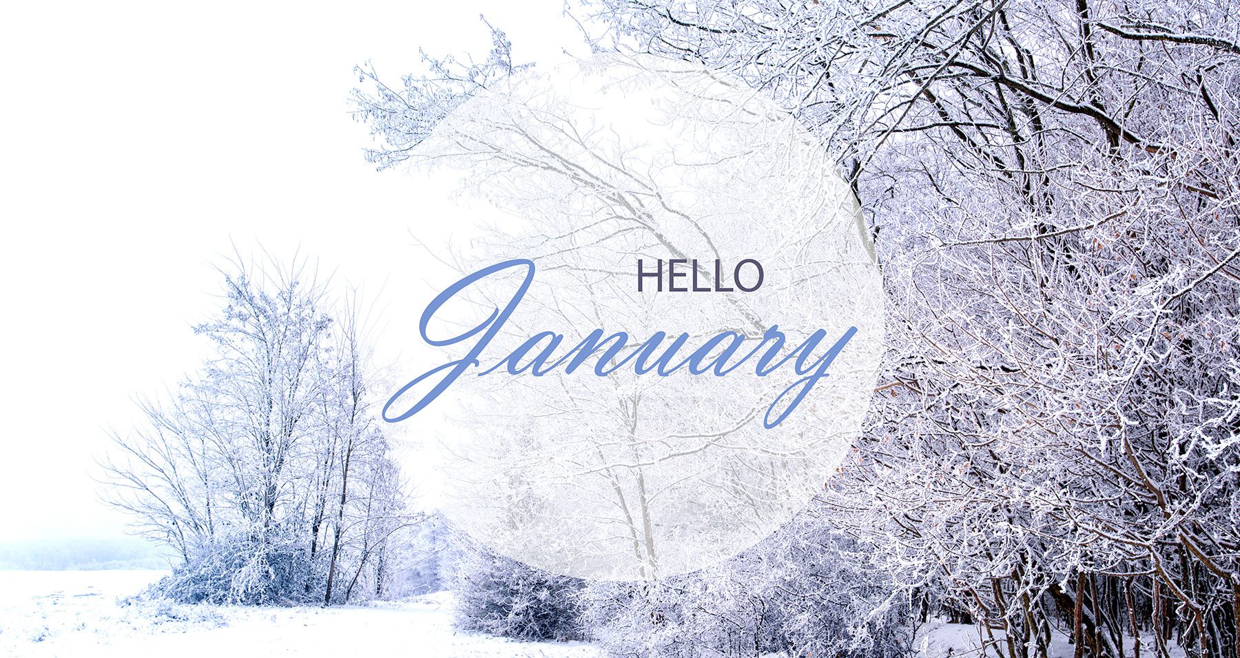 January In Your Garden - Earnshaws