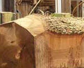 Bespoke Sawn Timber | Oak And Douglas Fir | Earnshaws