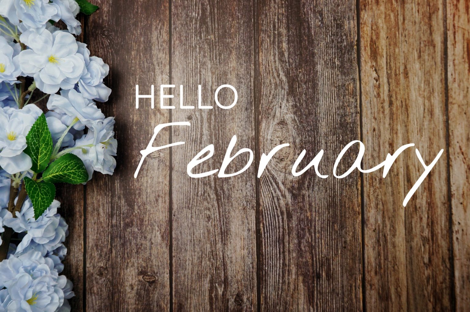 February In Your Garden 2024 | Gardening News | Earnshaws