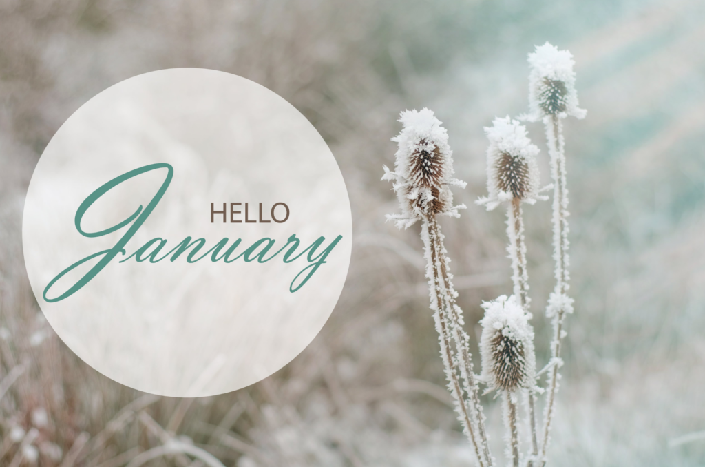 January In Your Garden 2025 | Gardening News | Earnshaws